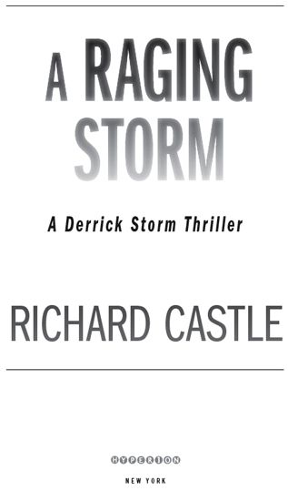 Книга: A Raging Storm