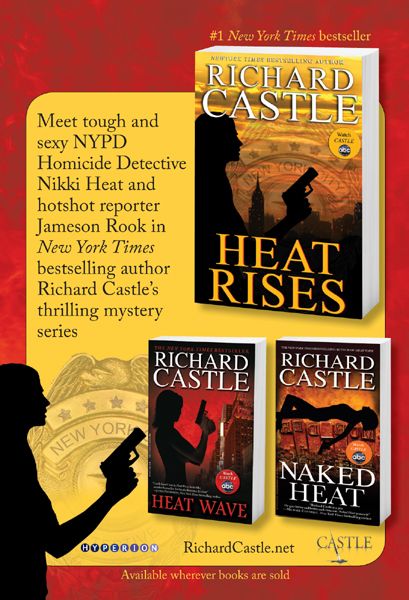 Книга: A Raging Storm