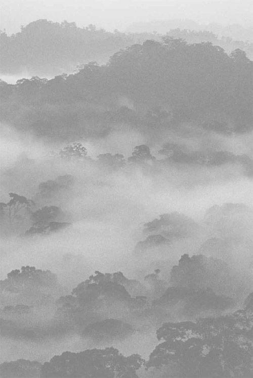 The Meaning Of Human Existence the-meaning-of-human-existence